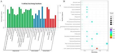 Ijms Free Full Text Multi Omics Analysis Reveals Intricate Gene Networks Involved In Female
