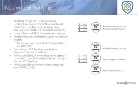 Introduction To Neuron Esb
