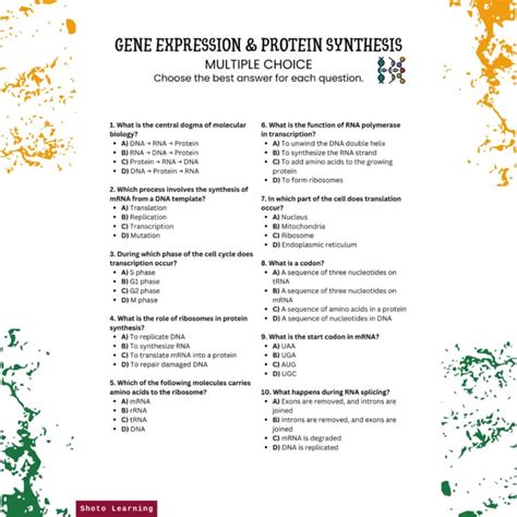 Gene Expression And Protein Synthesis 20 Multiple Choice Worksheet