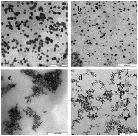 Green Synthesis Of Nanoparticles With Extracellular And Intracellular