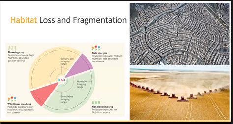 Fragmentation ROI Connect