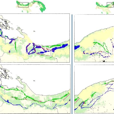 Multi Species Connectivity Scenarios Developed To Connect Core Areas Download Scientific