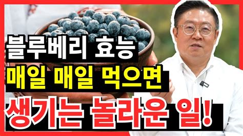 블루베리 매일 먹으면 생기는 놀라운 일 그리고 더 건강하게 먹는 방법 Youtube