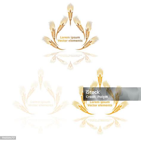 밀 귀 귀리 또는 보 리 3 벡터 로고 유형 흰색 배경에 황금 설정 0명에 대한 스톡 벡터 아트 및 기타 이미지 0명 가을