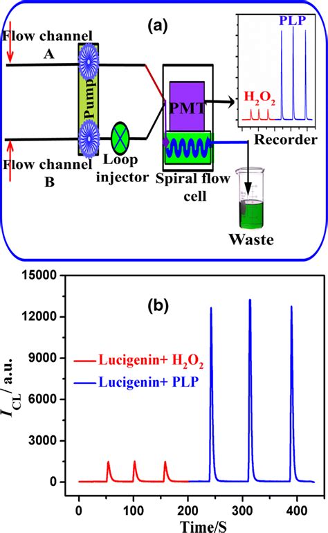 A A Schematic Diagram For The Established Flow Injection Device Download Scientific Diagram