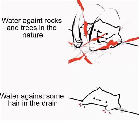 Natural Laws Rhmmmwarriors