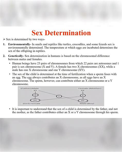 Sex Determination Heredity Genetics Class 10 Ch 9 Science Board