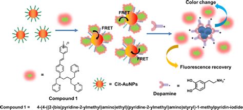 Schematic Illustration Of The Colorimetric And Fluorometric Dual Signal Download Scientific