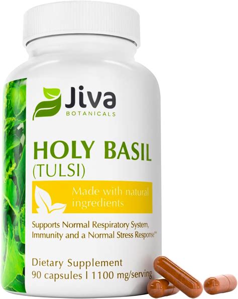 Best 6 Holy Basil Supplements For Stress And Immunity 2025