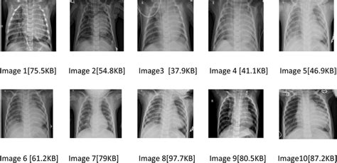 Sample Images No And Size 1 10 Download Scientific Diagram