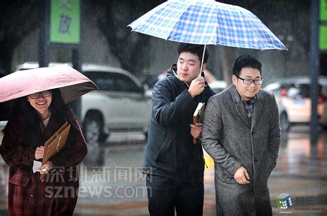 街拍福田冷冷的冰雨胡乱地拍 寒潮预警再度袭深 福田网