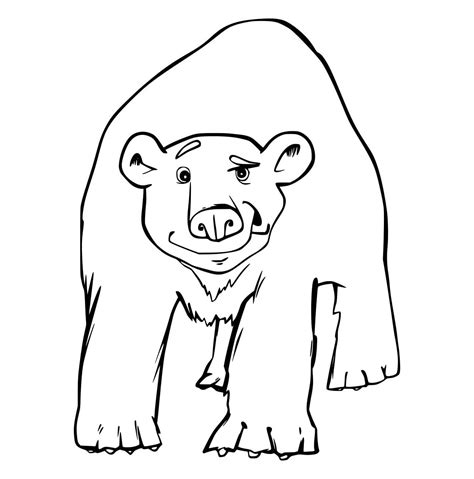 Beruang Kartun Lucu