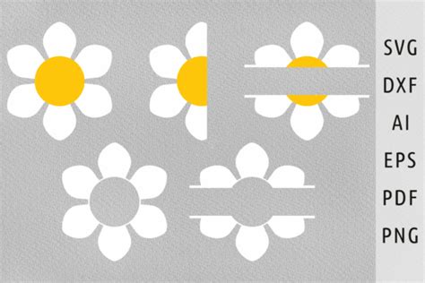Daisy Flower Svg Half Daisy Svg Split Graphic By Julias Digital