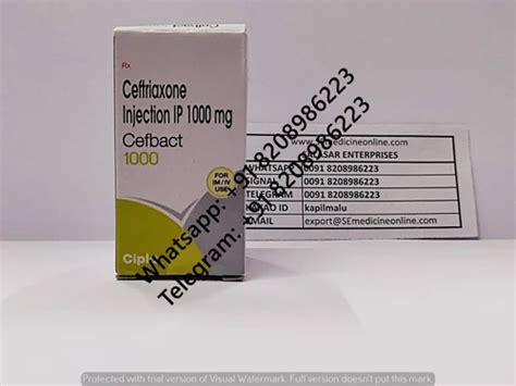 Cefbact 1000 Injection 1 Gm At Rs 24 Vial In Nagpur Id 2853970344888