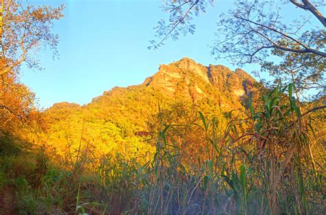 Lengteng Wildlife Sanctuary A Lovely View Of Wildlife