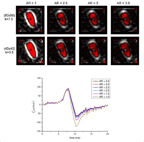 Figure S6 Top I M F Images Computed Using Eqn 7 Effect Of Download Scientific Diagram