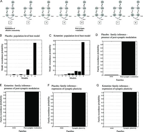 Model Specification A The 8 Dcms Used For Bayesian Model Comparison Download Scientific