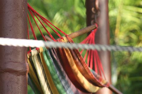 Relax Free Stock Photo - Public Domain Pictures