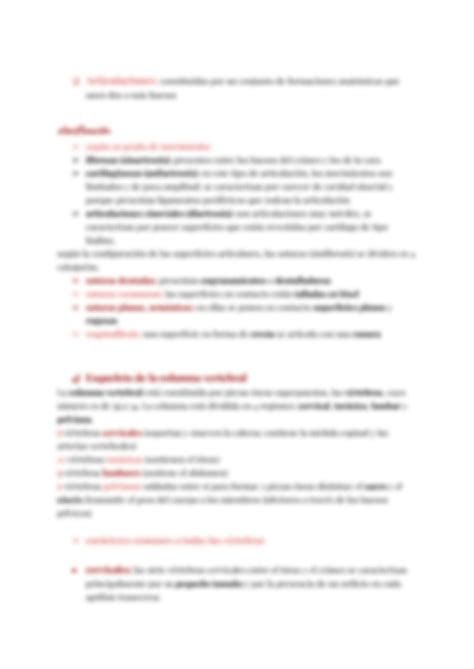 Solution Planos Anat Micos Y Sistema Seo Studypool