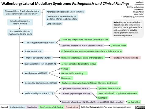Lateral Medullary Syndrome Final Calgary Guide