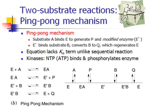 MCAT Content Review From Missed Questions Flashcards Quizlet