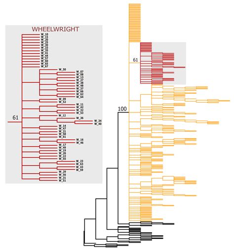 Pdf High Prevalence Of Hepatitis C Virus Genotype 1b Infection In A Small Town Of Argentina
