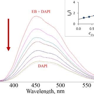 Emission Spectra Of DAPI Bound To DNA In The Presence Of Download Scientific Diagram