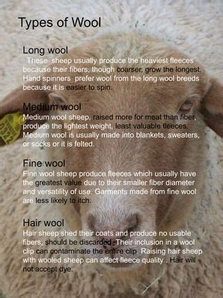 Wool Pptx