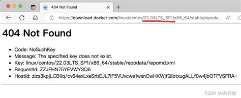 openeuler 22 03 lts sp1 安装最新版docker（踩坑及解决方案） openeuler docker csdn博客