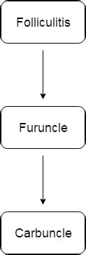 Furuncle Diagram