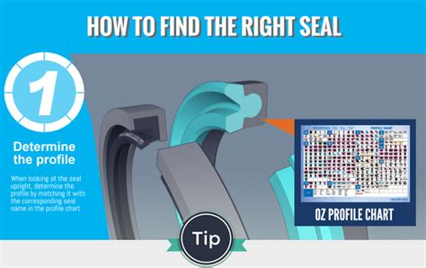 How To Find The Right Seal In 3 Steps Infographic Oz Seals Pty Ltd