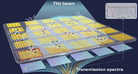 Pixelated Toroidal Metasurface Sensor With Broadband Terahertz Fingerprint Enhancement For