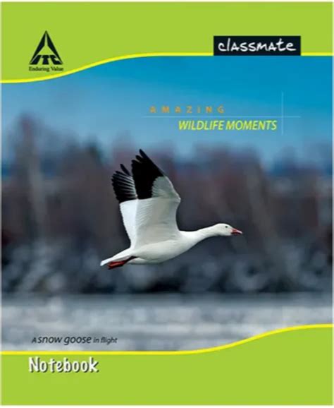 Classmate A4 Size Notebook At ₹ 60 Piece Rajajinagar Bengaluru Id 2853481837530