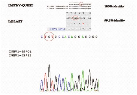 Differences In The Identity Calculation Between The Imgtv Quest