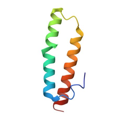 Rcsb Pdb 8rpy Escherichia Coli 50s Subunit In Complex With The Antimicrobial Peptide Api137