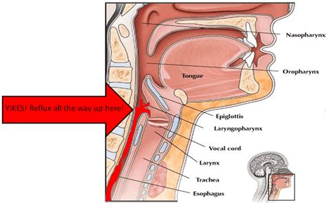 Living Well With A Bad Diagnosis Lung Disease Why We Cough