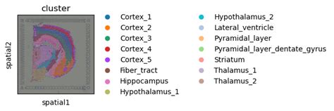 Analyze Visium H E Data Squidpy Documentation