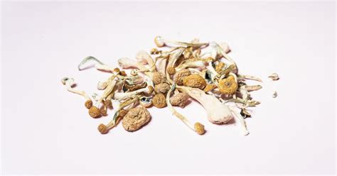 San Francisco Takes One Step Closer To Decriminalizing Plant Based