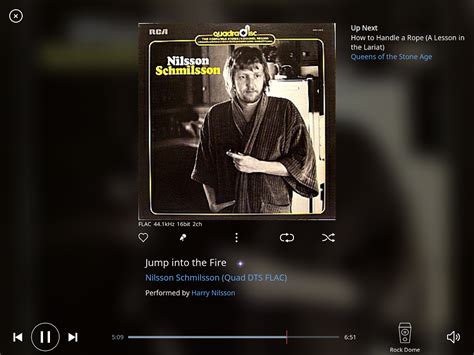 Multichannel DTS Identification Feature Suggestions Roon Labs Community