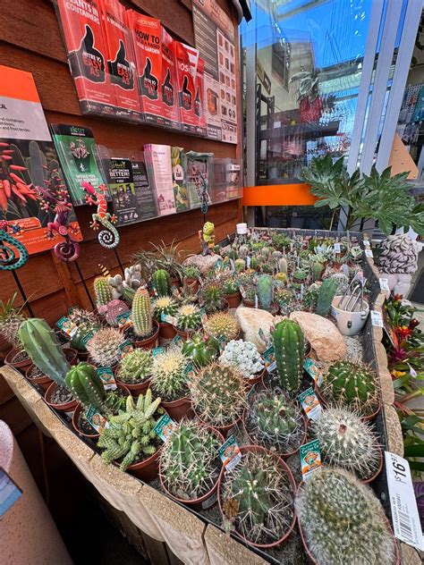 Mitre 10 Motueka Port Motueka