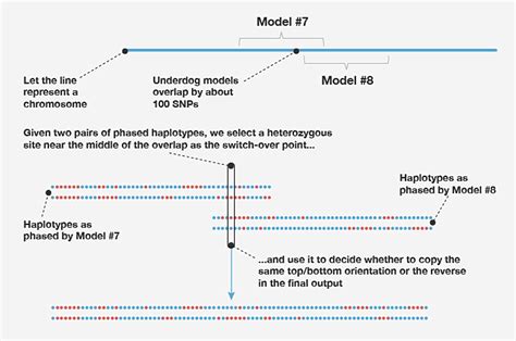 Ancestrydna Matching White Paper