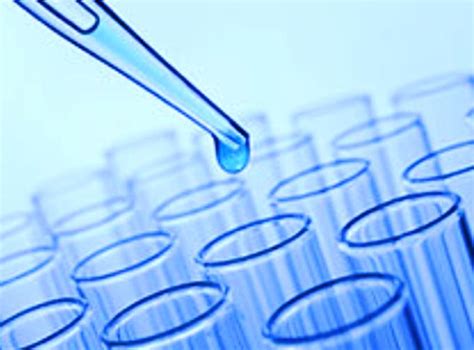 Nanoformulation Biological Evaluation Nanomedicine Cd Formulation