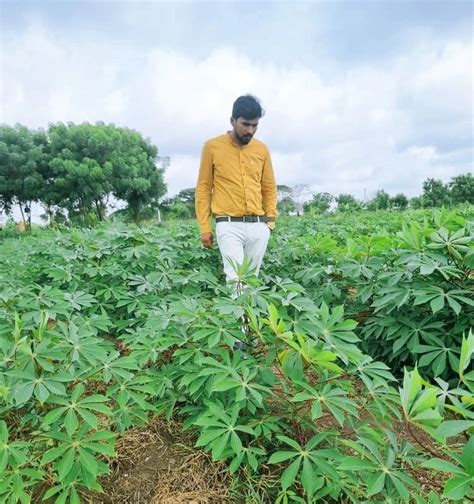 Sonu Katiyar On Linkedin Nigeria Africa