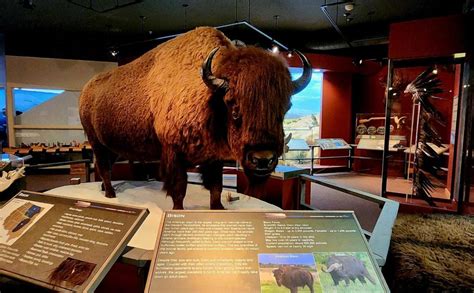 Top Museums In Cheyenne Wyoming Visit Cheyenne