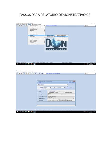 Passos Para Relatório Demonstrativo 02 Pdf