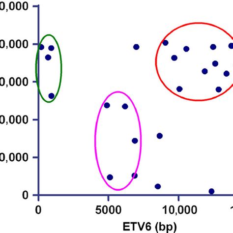 FISH Signal Patterns A FISH Signal Pattern For ETV RUNX Negative Download Scientific
