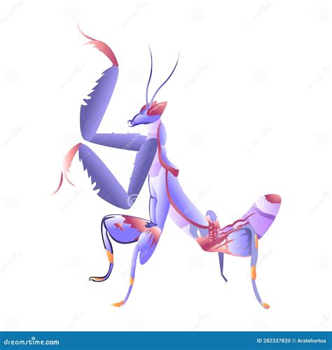 Vector Cartoon Orchid Mantis Character Isolated Illustration Stock