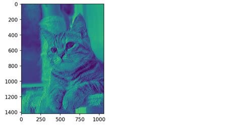 Visualizing Kernels And Feature Maps In Deep Learning Model Cnn