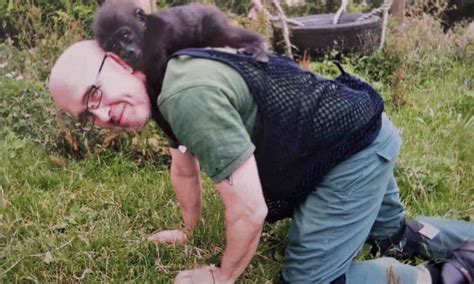 Zookeeper Becomes Gorilla Dad Heartwarming Tale Of Love And Care