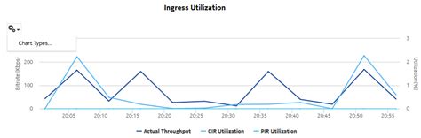 Sap Utilization Details Report